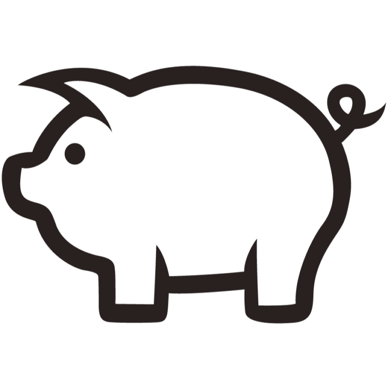 Available Piglets - Joy of Pigs Co. | PORCINE