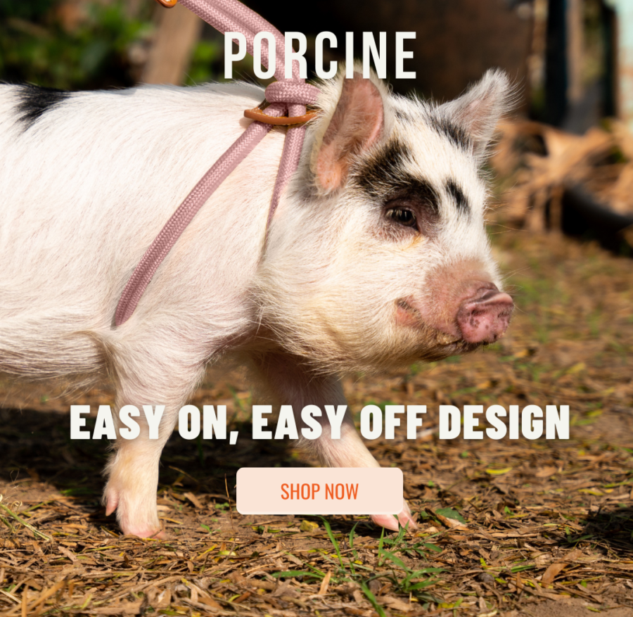 PORCINE Home (SHOP) - Joy of Pigs Co.