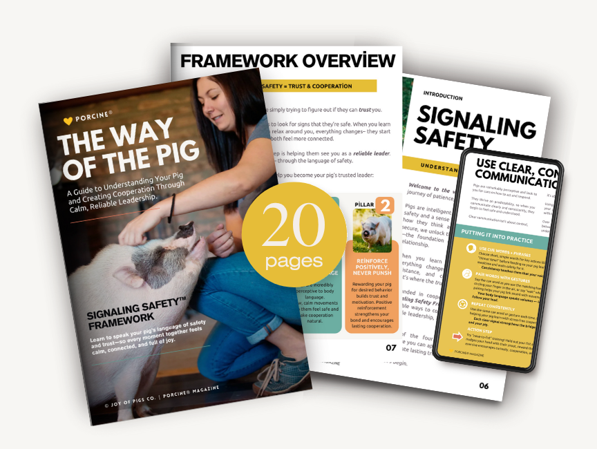 Signaling Safety™ eBook | Build Calm Cooperation with Your Mini Pig ...